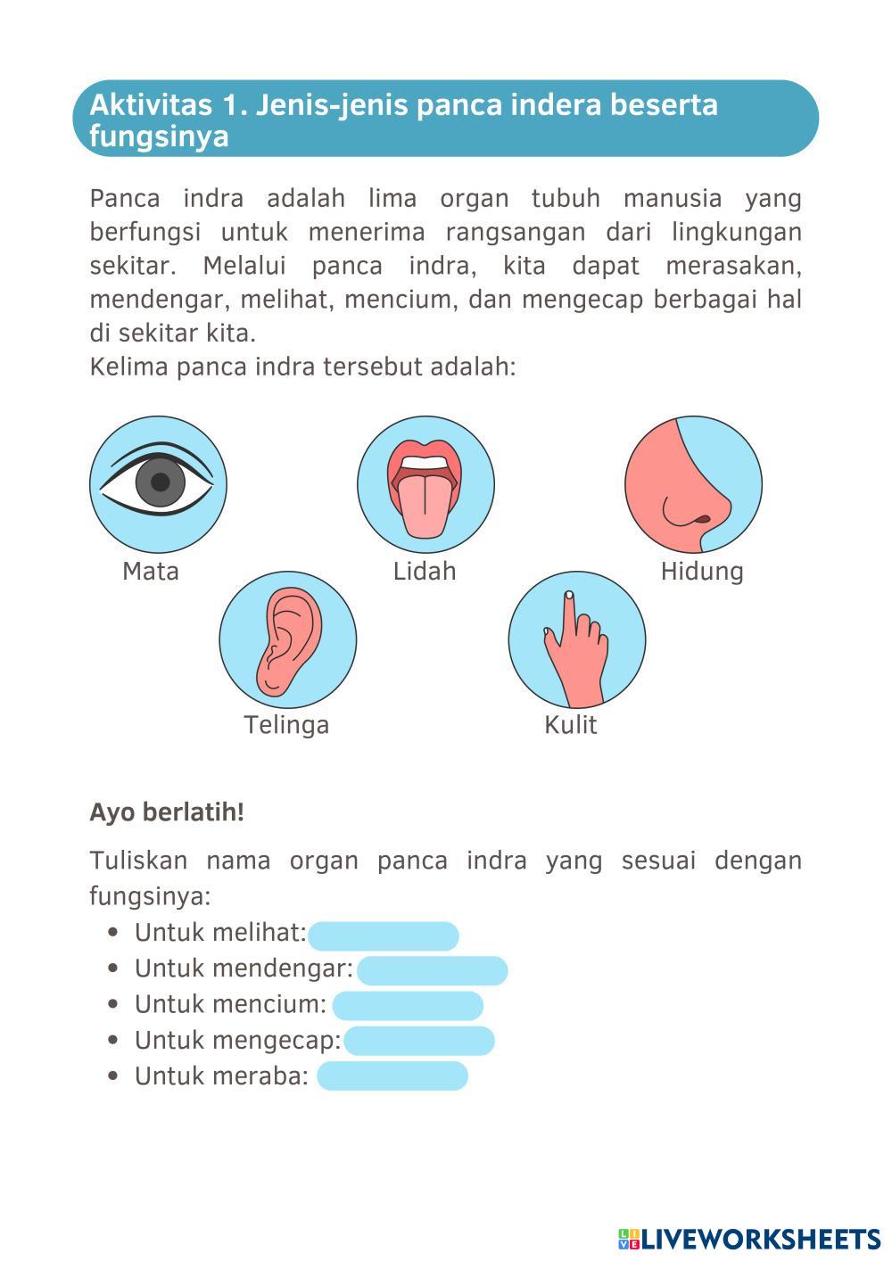 7921256 | Lkpd Panca Indera | Nabilla Narassati