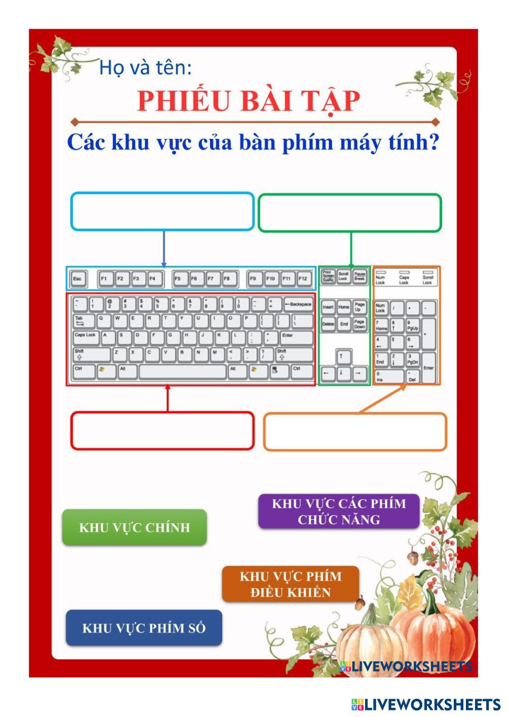 Bàn Phím máy tính 7935037 | Lương Thị Thu Thủy