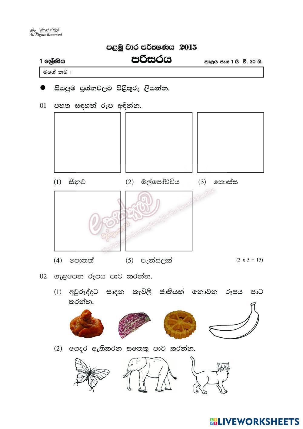 RUVANI | Free Interactive Worksheets | 7943440