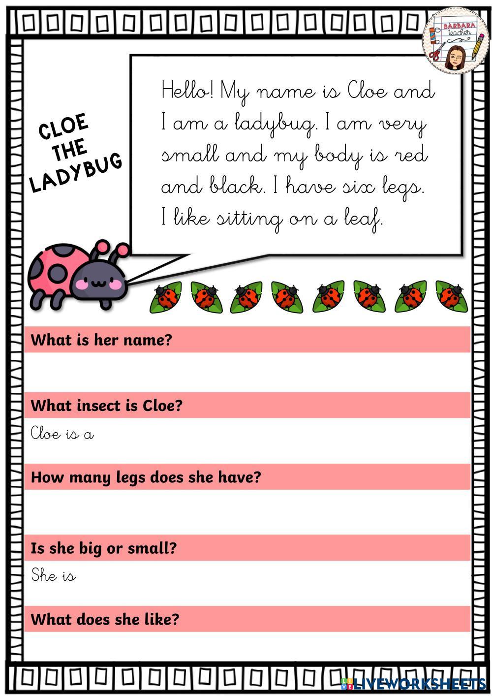 7948233 | ladybug easy reading | Barbara_teacher