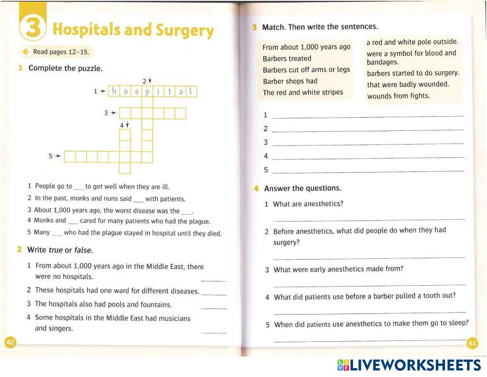 Chapter 3 - Med… | Free Interactive Worksheets | 7953005