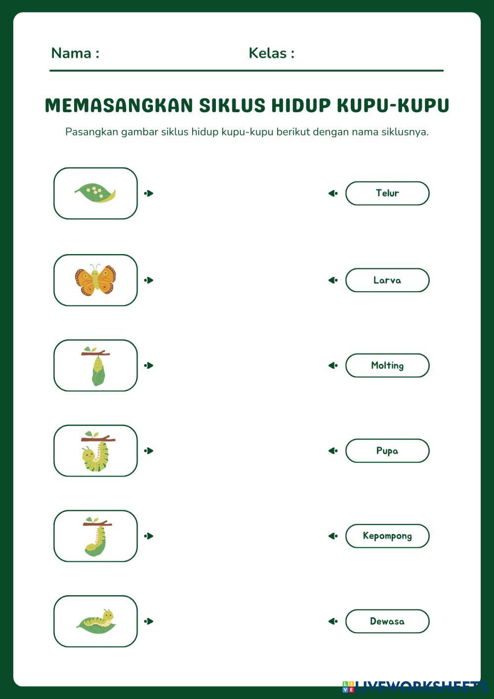 Memasangkan Sik… | Free Interactive Worksheets | 7956096