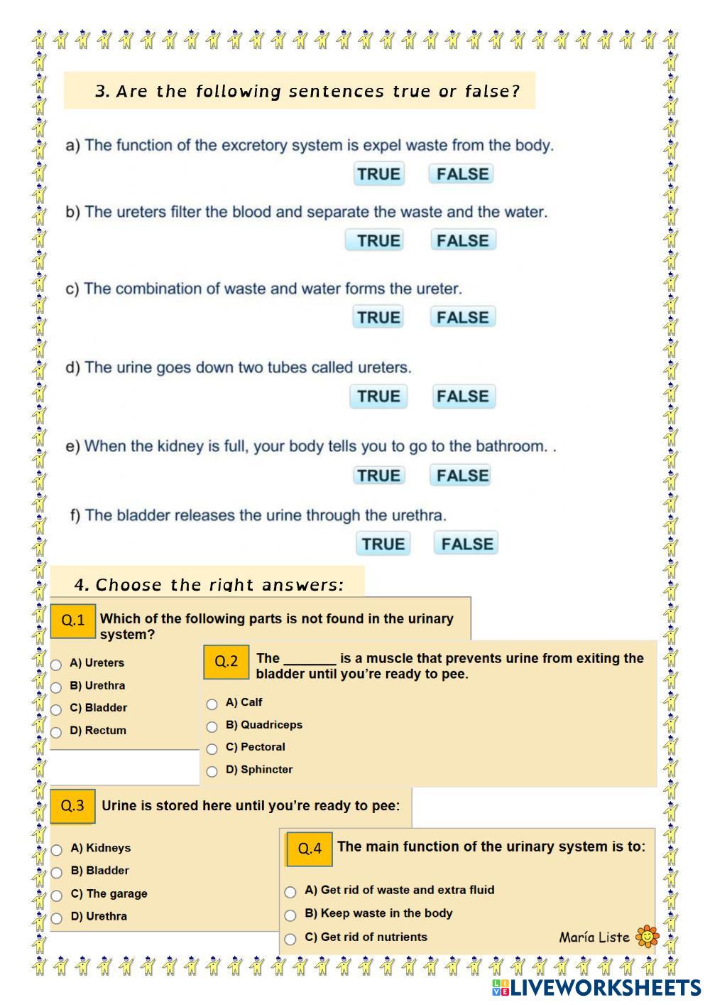 Excretory System | Free Interactive Worksheets | 7964295