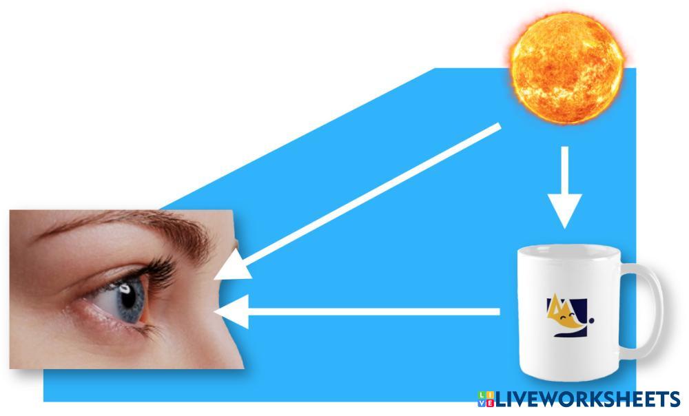 How Light Helps… | Free Interactive Worksheets | 7965834