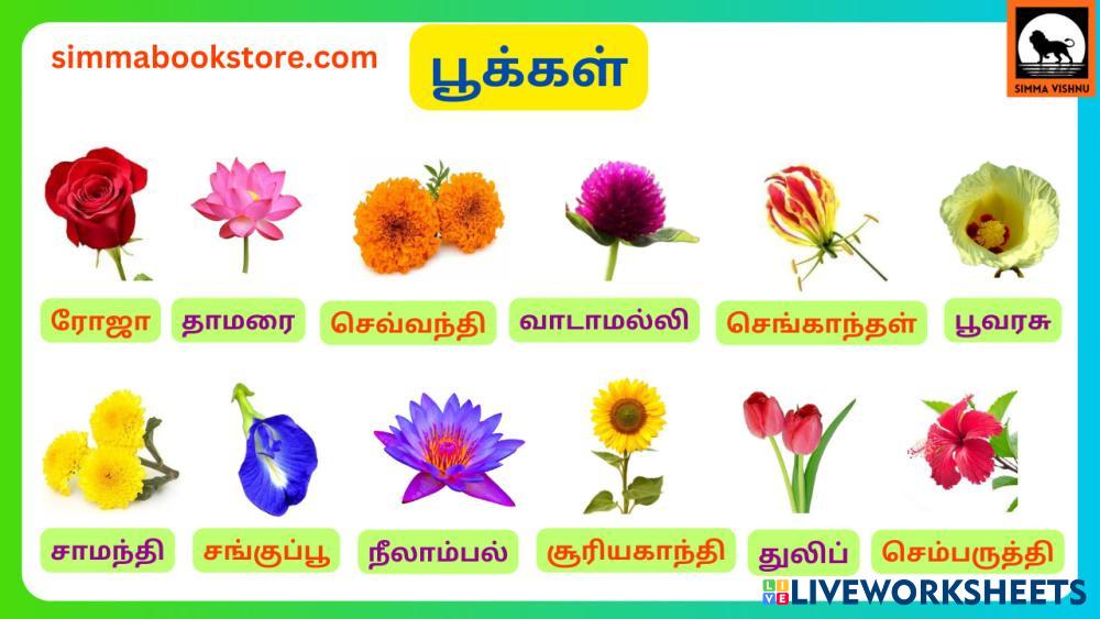 Flowers Names i… | Free Interactive Worksheets | 7966842