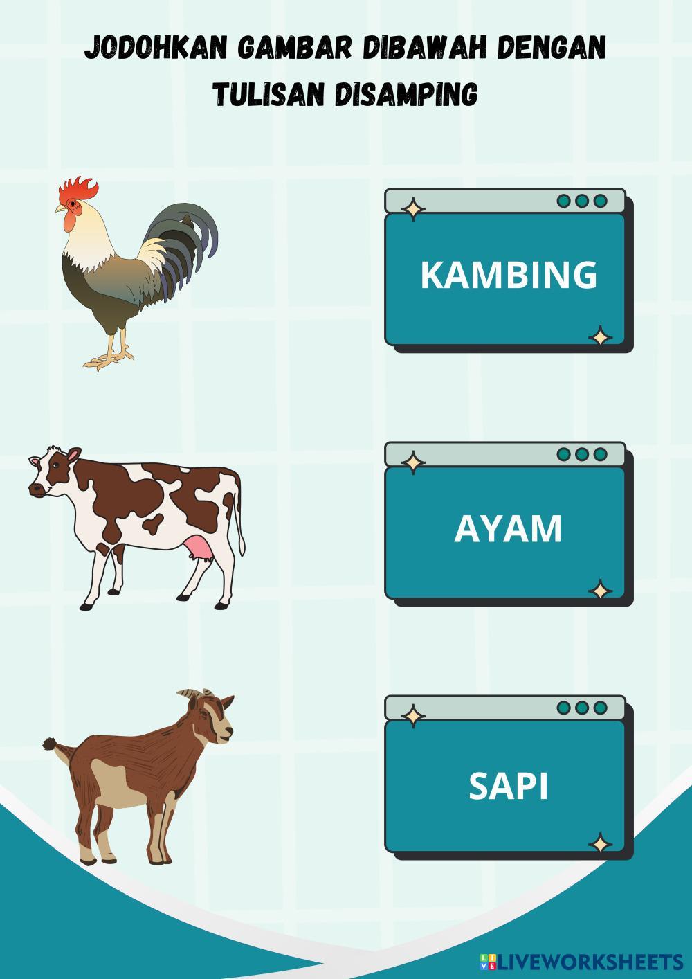 Belajar Membaca | Free Interactive Worksheets | 7968600