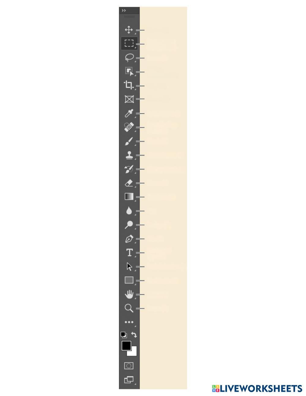 7979913 | Photoshop Tools Panel | Marisha McDaniel