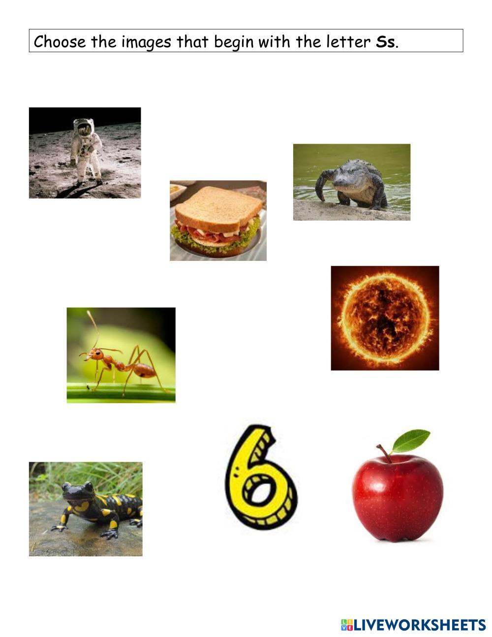 Letter Ss 7983192 | MissCarlie | LiveWorksheets