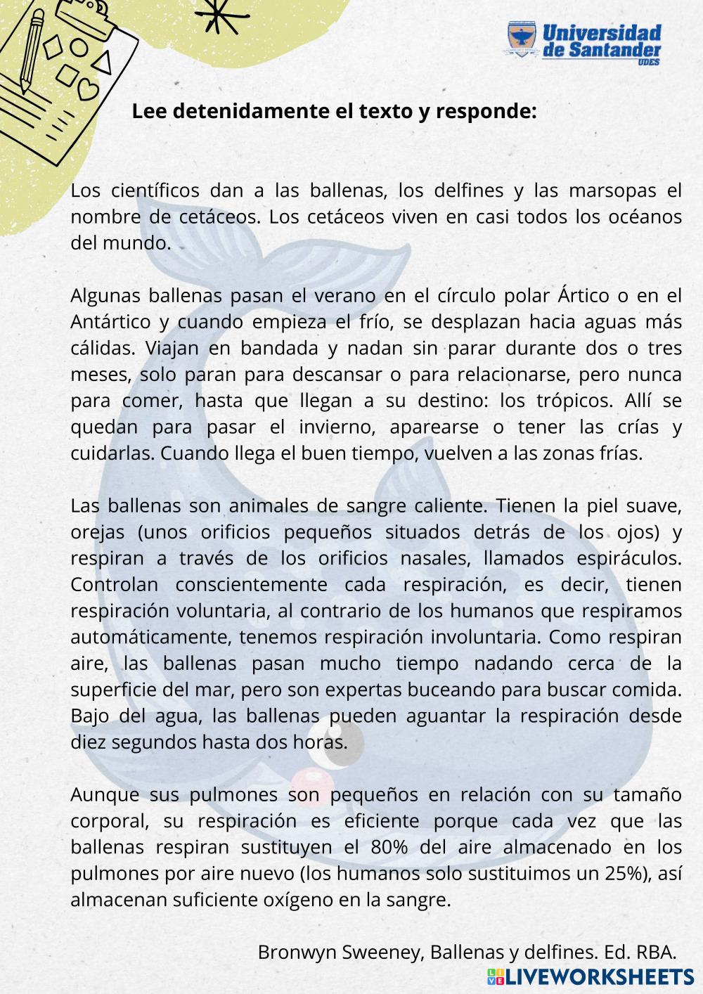 Español | Free Interactive Worksheets | 7985581