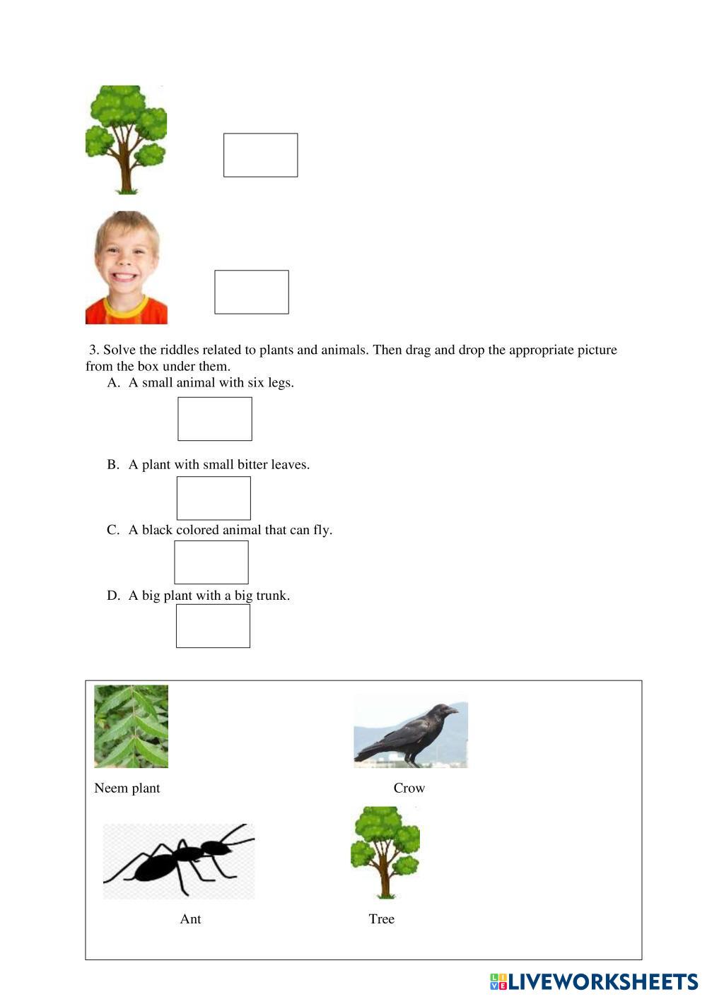 Class 3 EVS liv… | Free Interactive Worksheets | 7995362