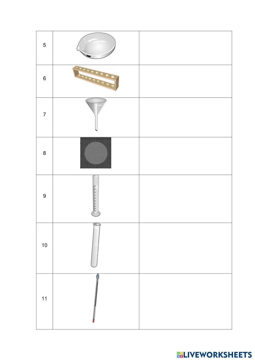 2024 YR 8 C OIP Science Laboratory Skills (Practical