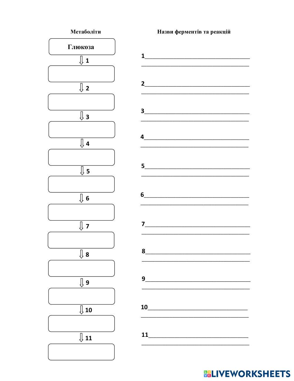 Заняття 20.Спец… | Free Interactive Worksheets | 7548350