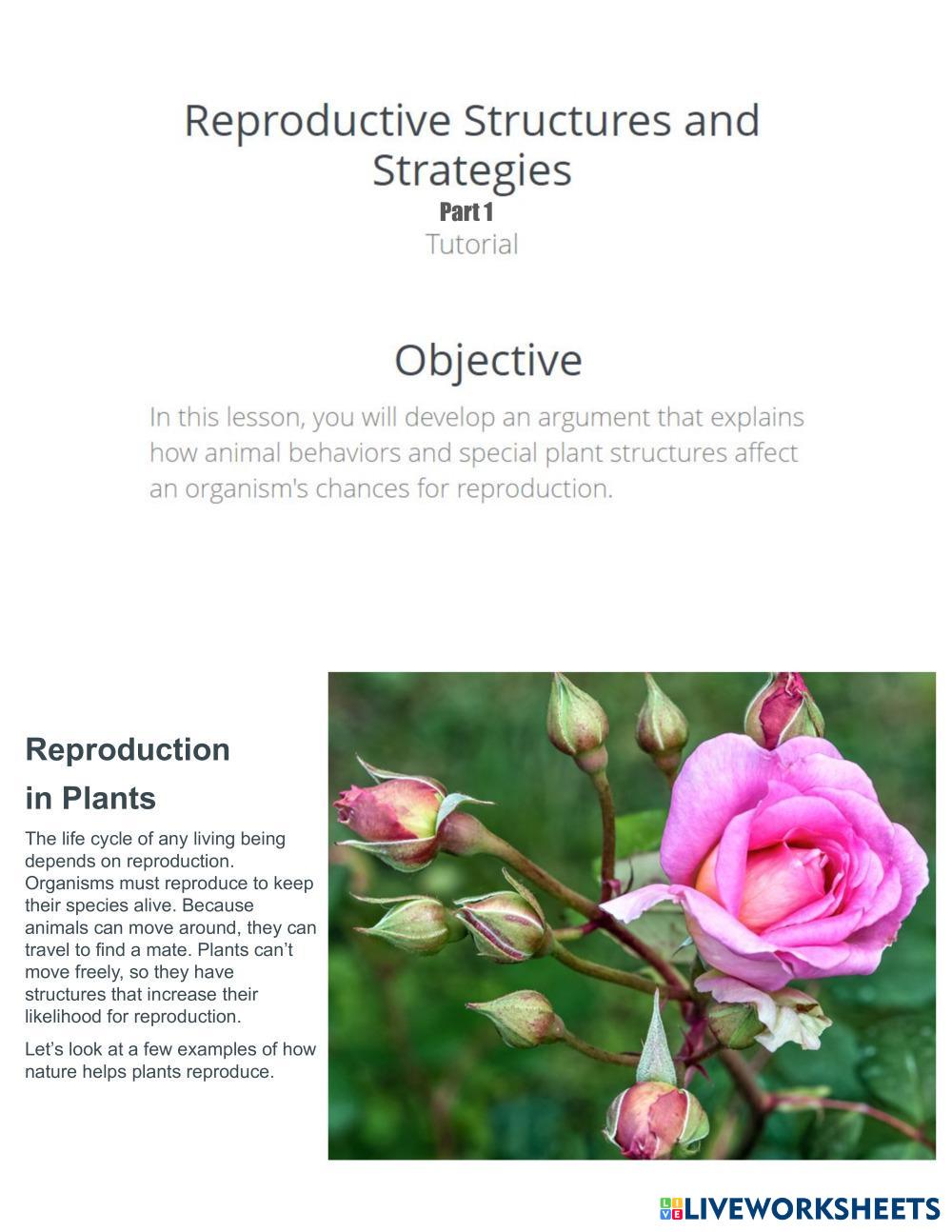 Reproductive Structures and Strategies Part 1 | Live Worksheets