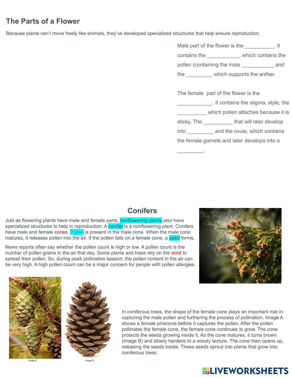 Reproductive Structures and Strategies Part 1 | Live Worksheets