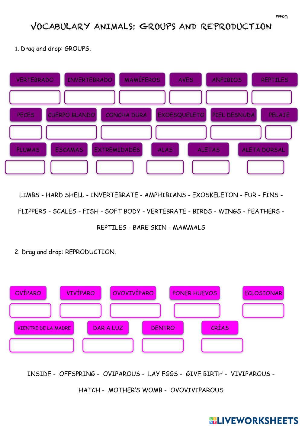 VOCABULARY ANIMALS: GROUPS AND REPRODUCTION | Live Worksheets