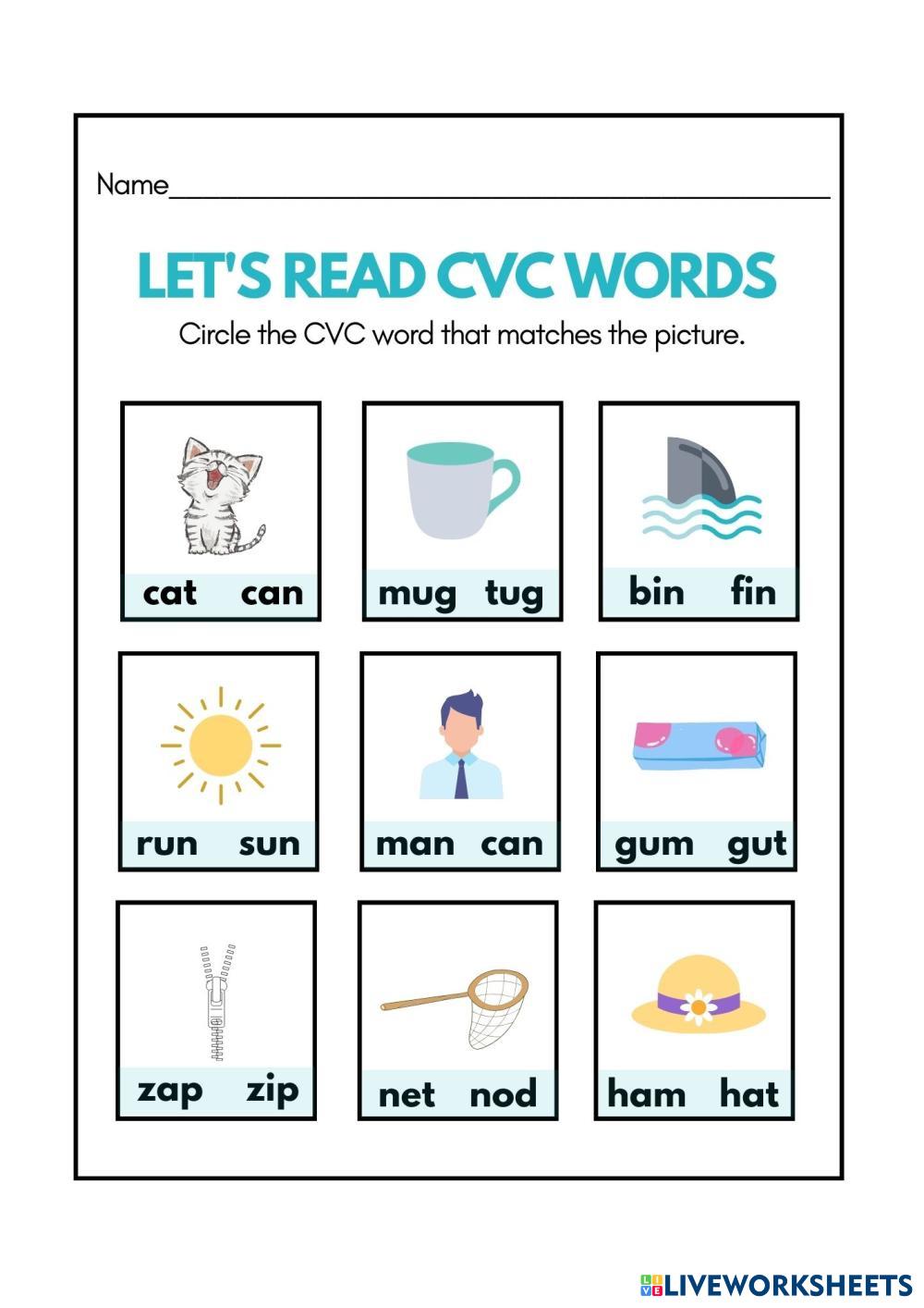 Sabiha Samaae | Free Interactive Worksheets | 7564051