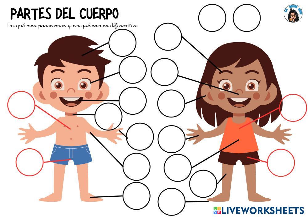 Esquema corporal | Live Worksheets