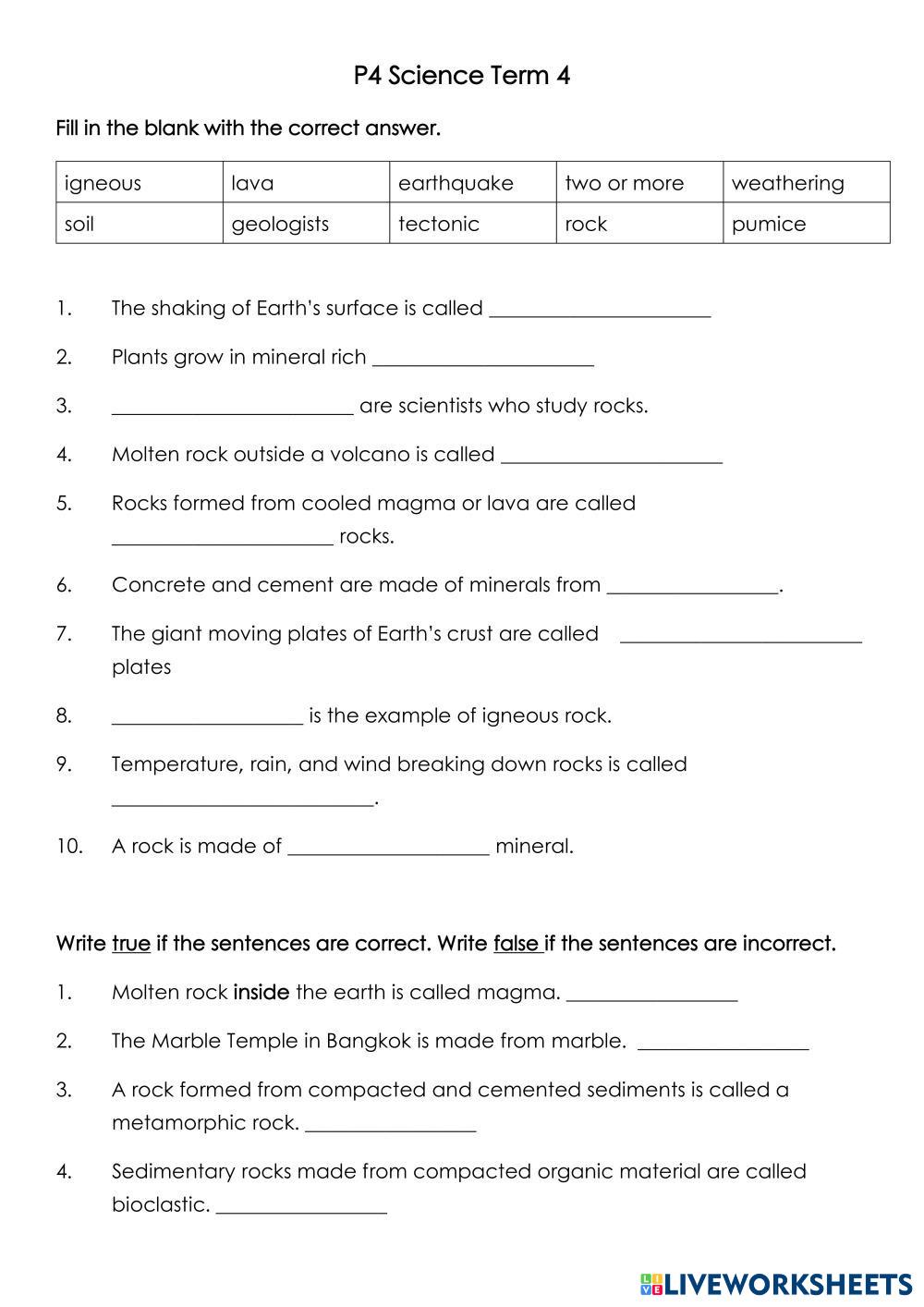 P4 Science Term 4 (Rock) | Live Worksheets