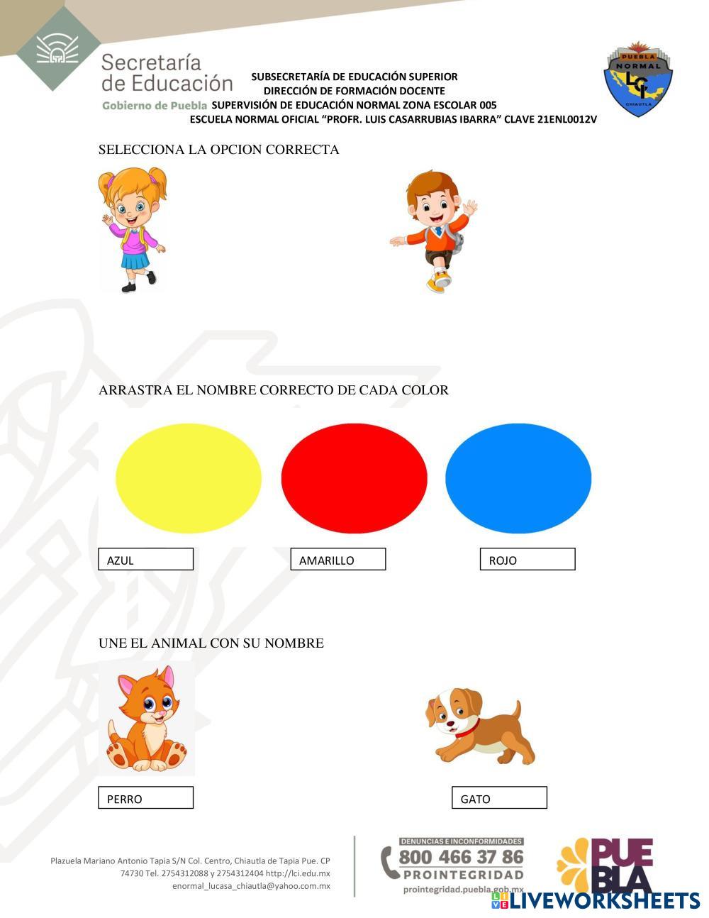 PDA | Free Interactive Worksheets | 7575684