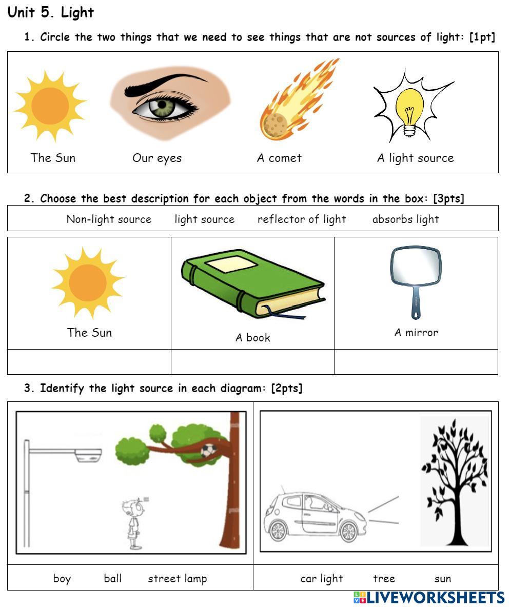 Science | Unit 5 | light 7579740 | amber c | Live