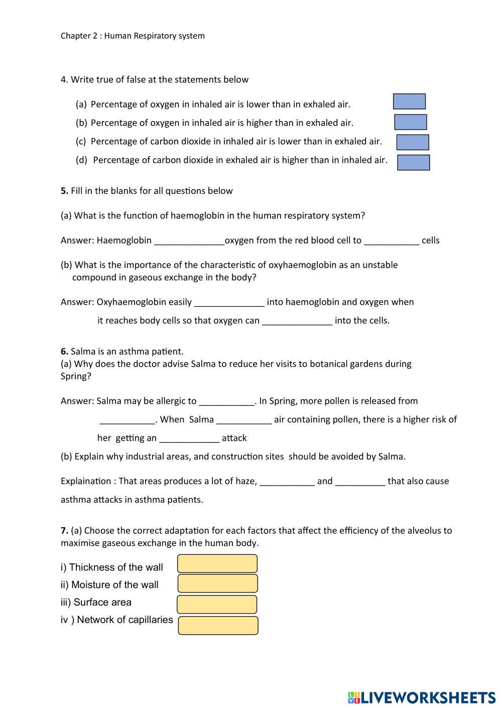 Form 3 Exercise… | Free Interactive Worksheets | 7587410