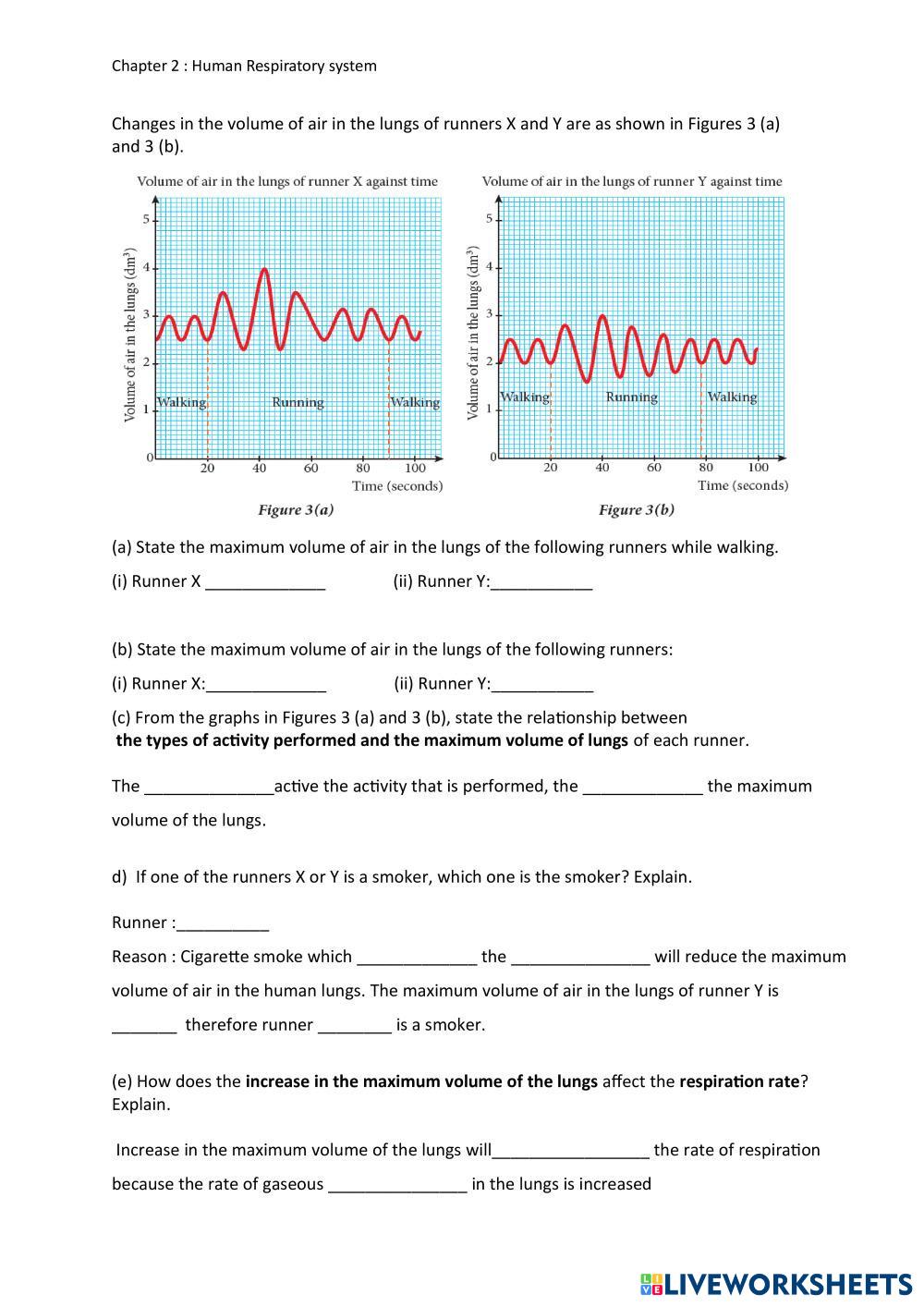 Form 3 Exercise… | Free Interactive Worksheets | 7587410