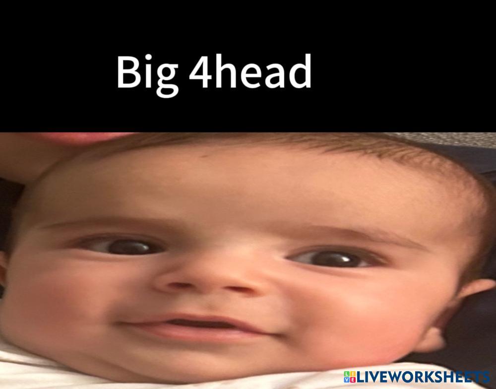 big 4head? | Live Worksheets