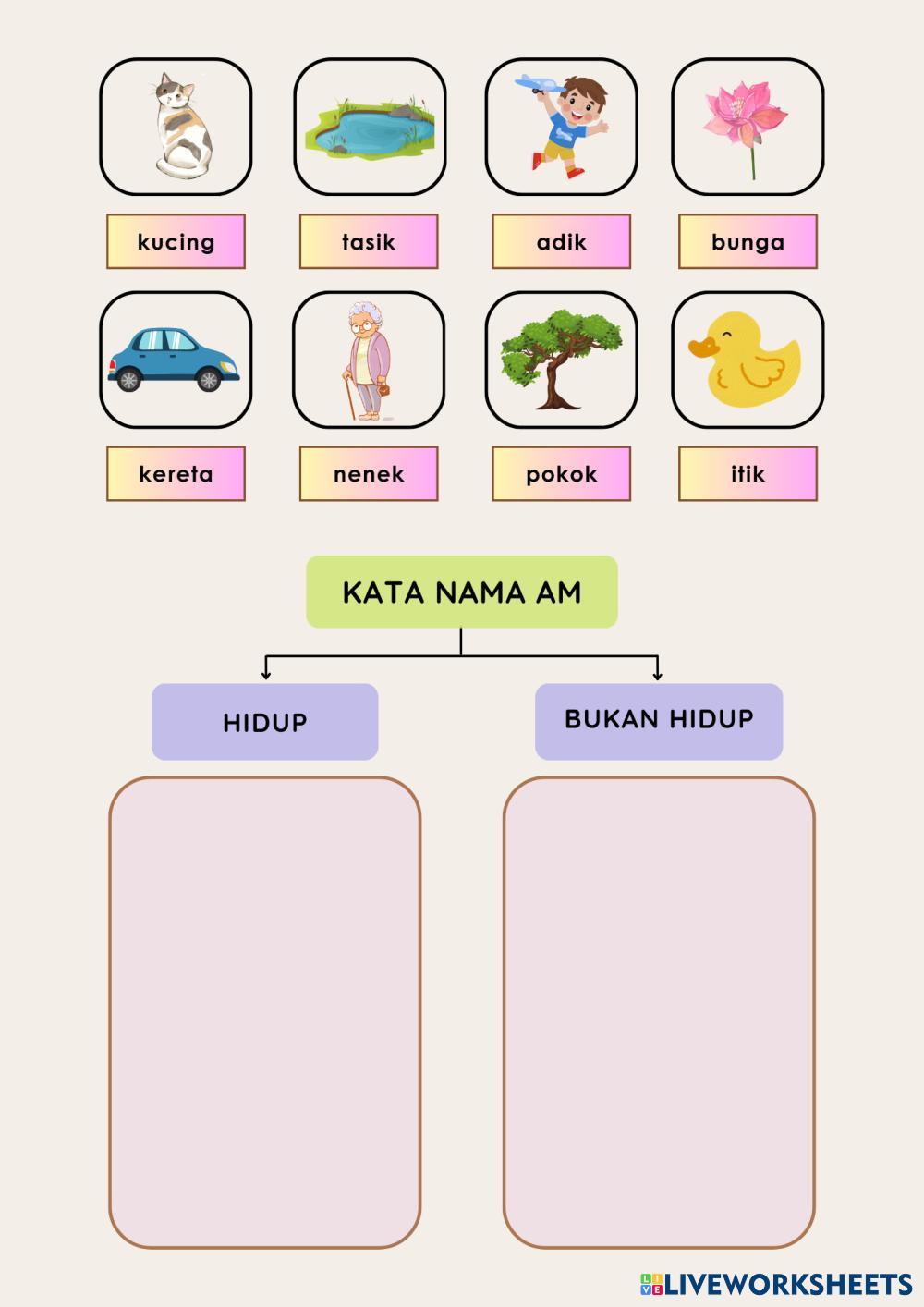 JENIS KATA NAMA AM - BAHASA MELAYU TAHUN 2 7596937