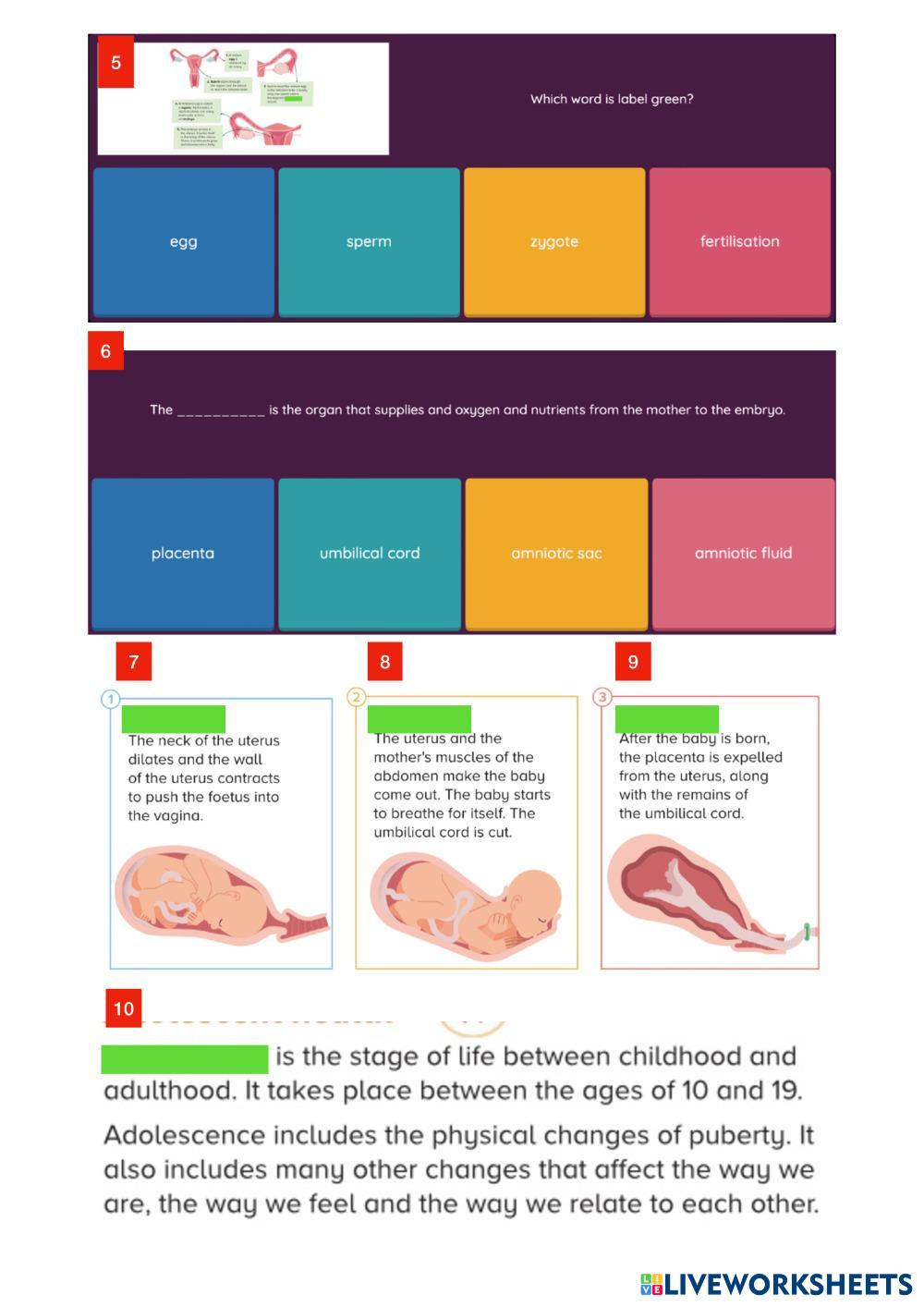 UNIT 3 SCIENCE … | Free Interactive Worksheets | 7602379