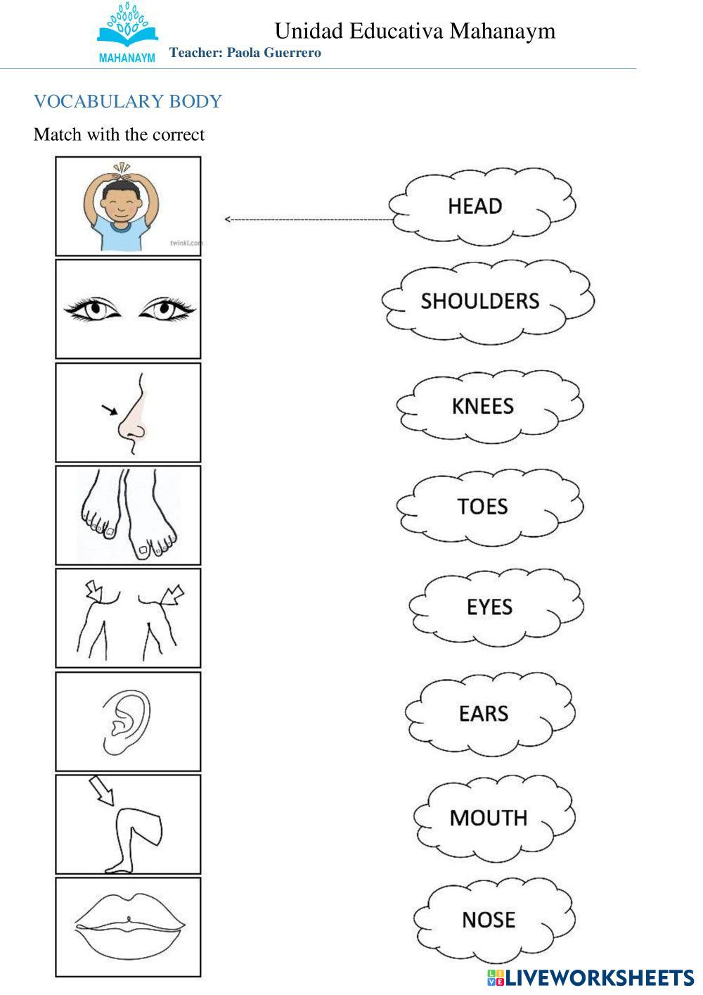 BODY PARTS | Live Worksheets