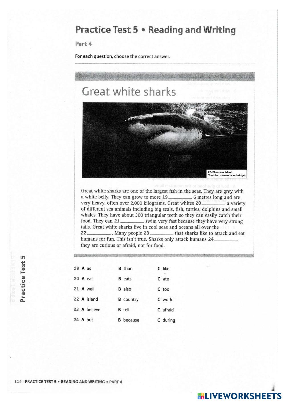 7608237 | KOF_Reading & Writing_Test 05 | Helenatran