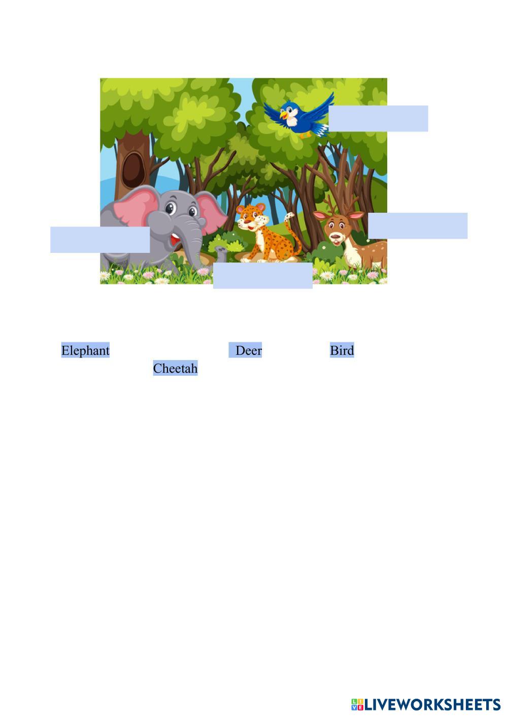 Exercise 7: Dra | Live Worksheets