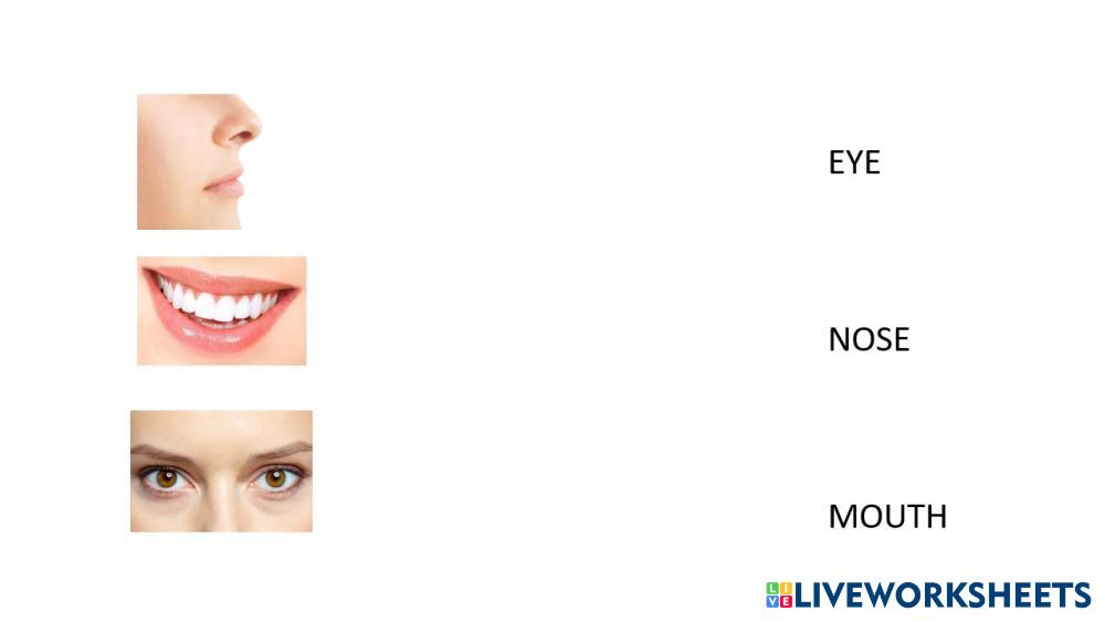 FACE | Live Worksheets