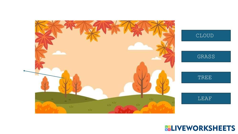 Activity three | Live Worksheets