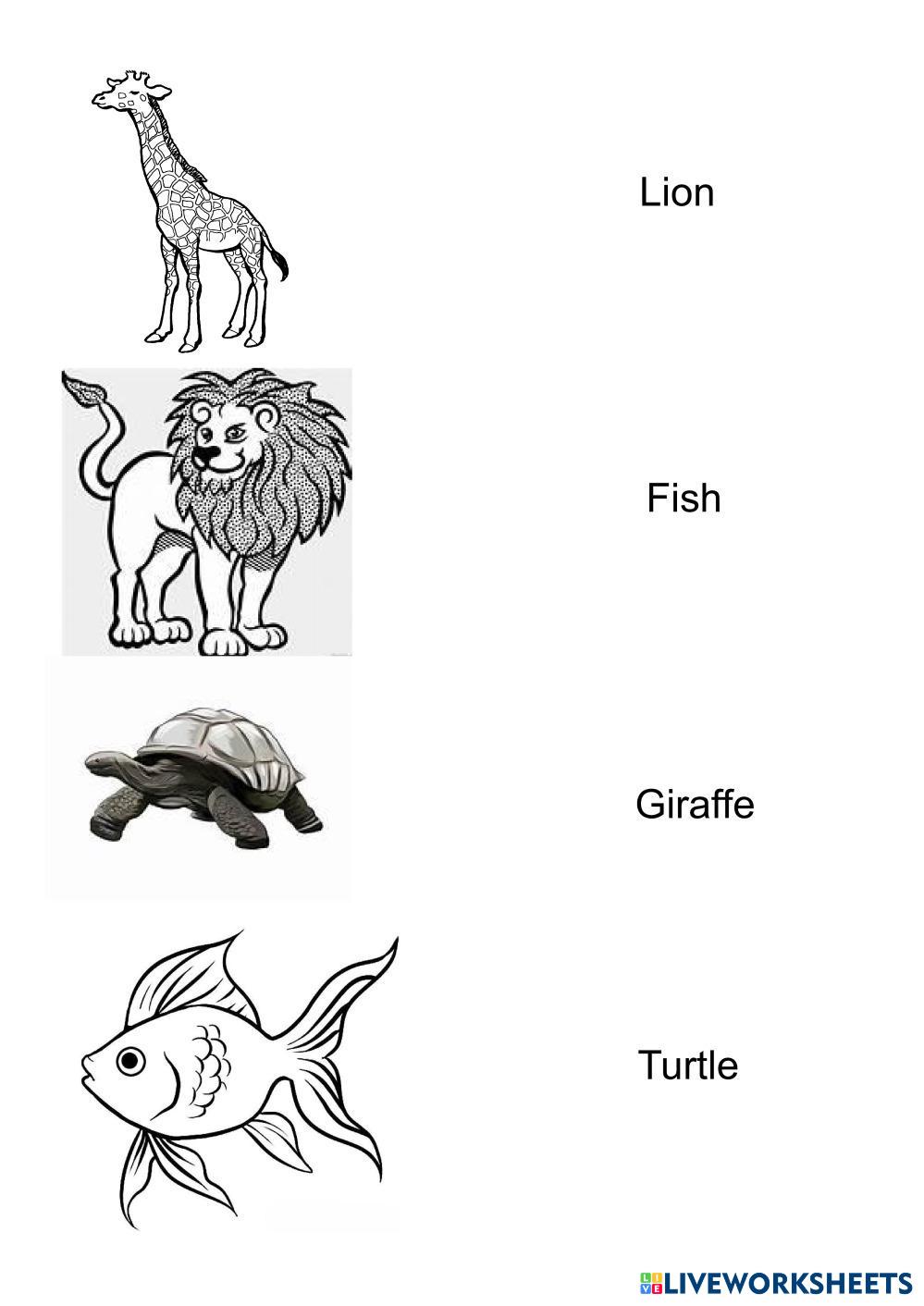 Link the animals | Live Worksheets