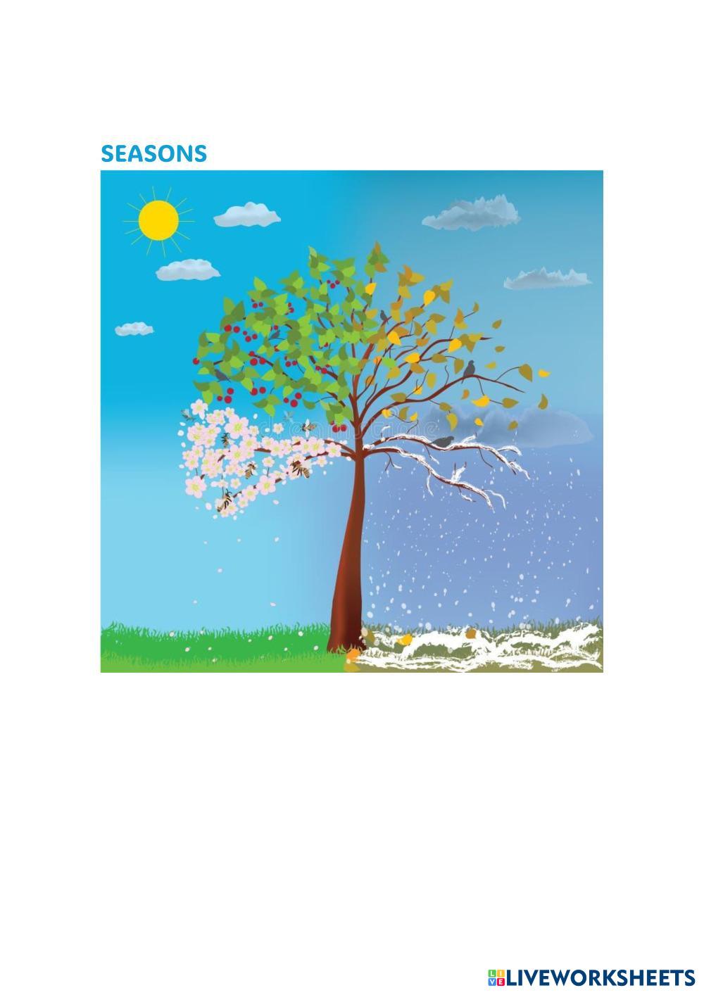 Seasons 9 7623767 | Irene Galera | Live Worksheets