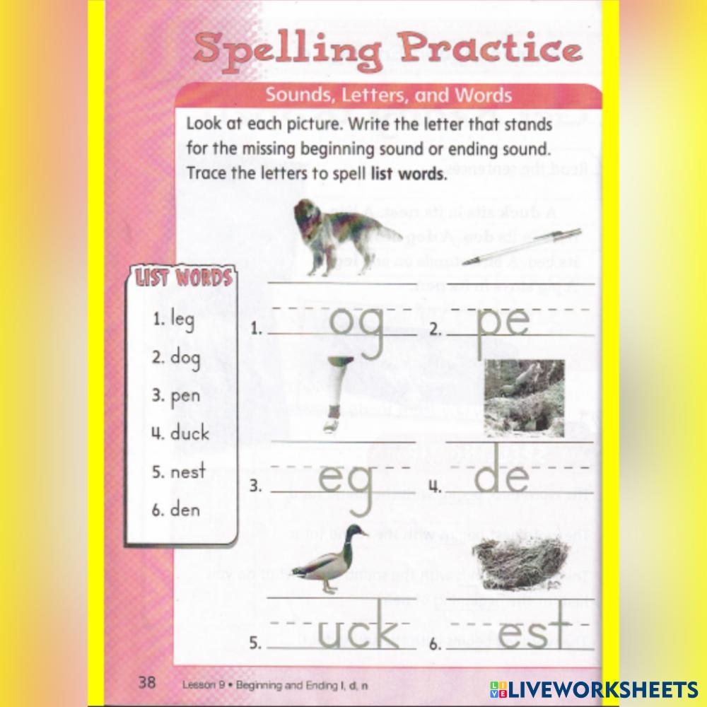 Beginning and Ending L, D, N | Live Worksheets