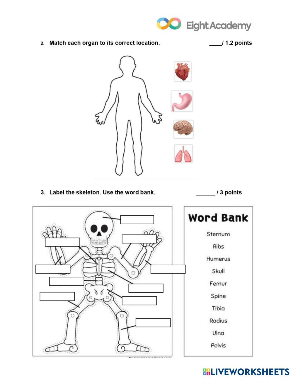 Unit 3 - Science | Live Worksheets
