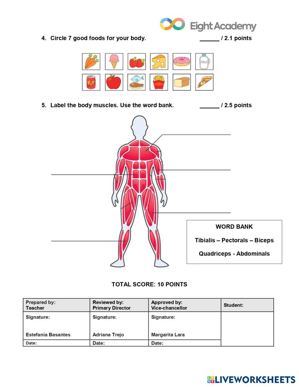 Unit 3 - Science | Live Worksheets