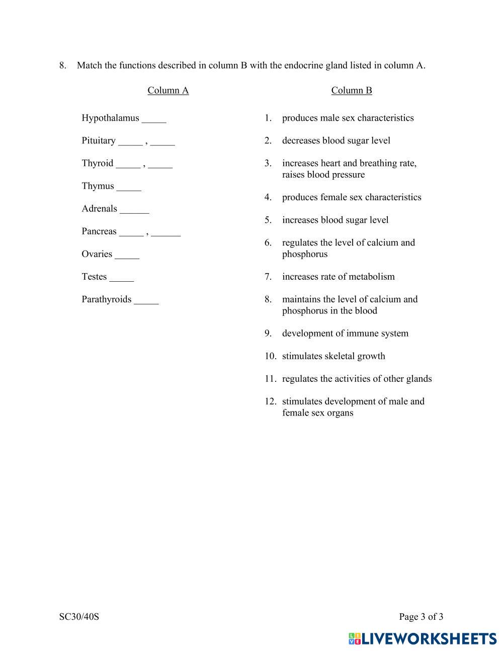 Endocrine System Worksheet | Live Worksheets