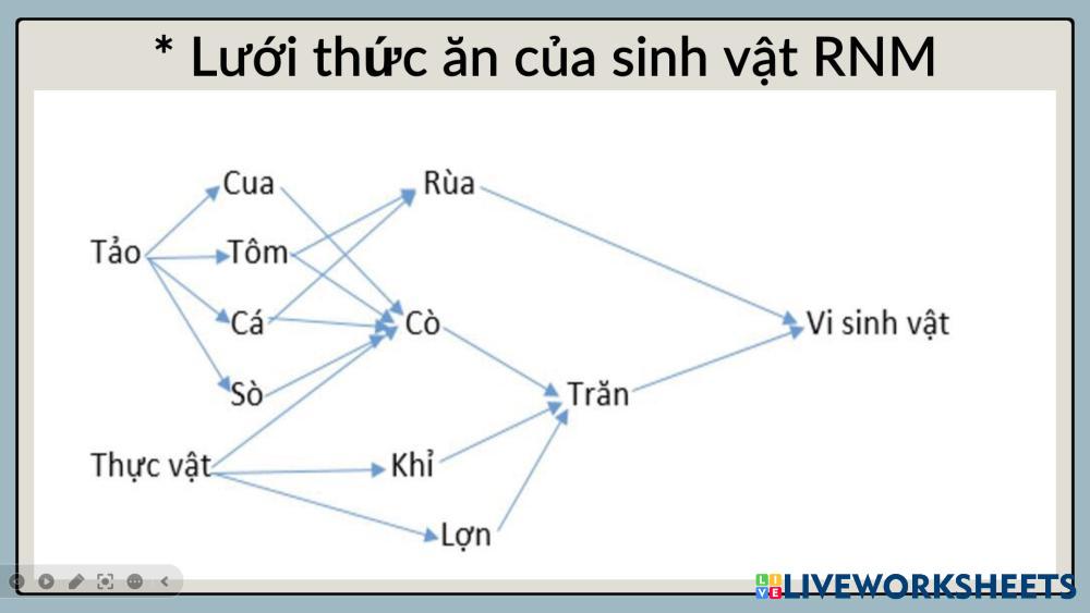 BAI TAP | Free Interactive Worksheets | 7636803