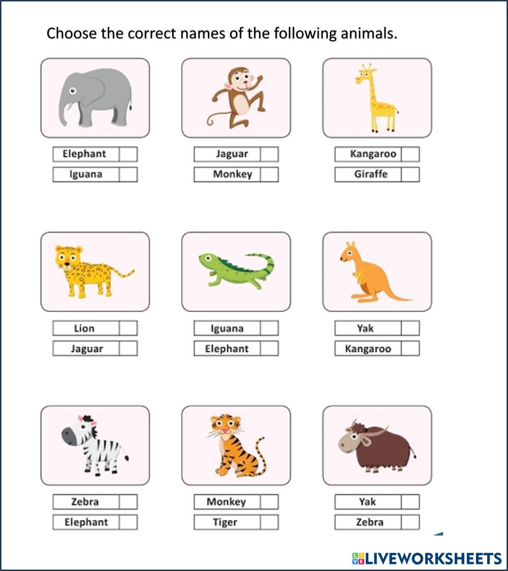 ANIMALS WORKSHEETS | Live Worksheets
