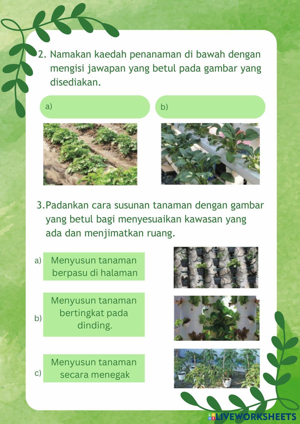 Teknologi Pertanian | Live Worksheets