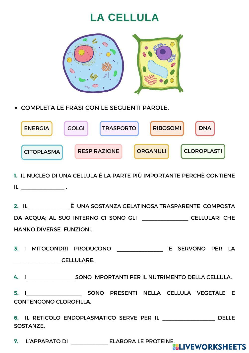 LA CELLULA | Live Worksheets