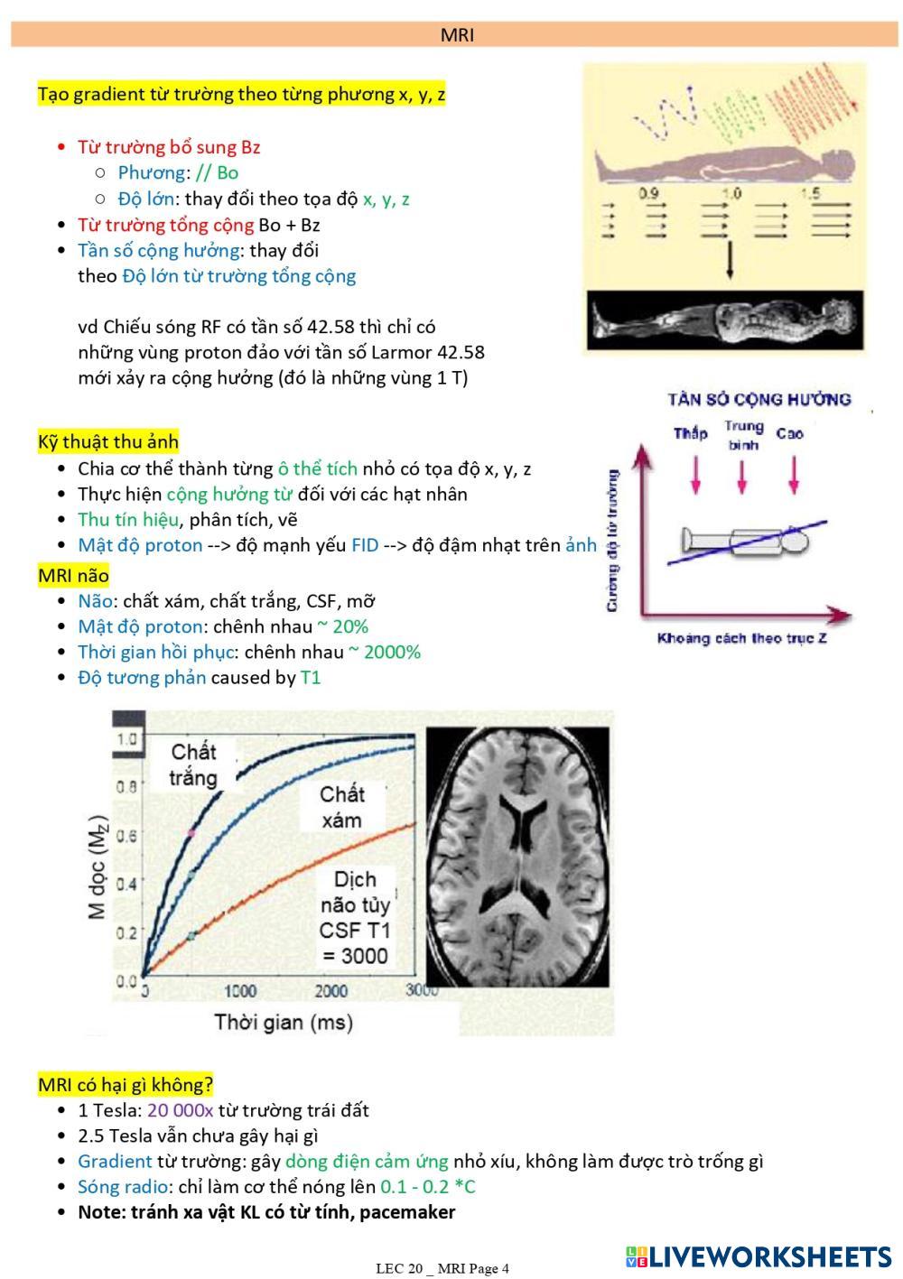 S1.4 _ 20 _ MRI | Live Worksheets