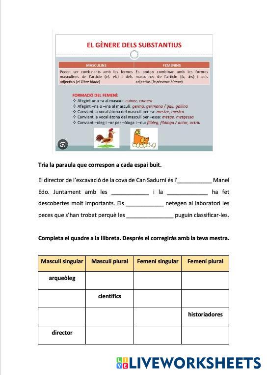 Gènere i nombre substantius | Live Worksheets