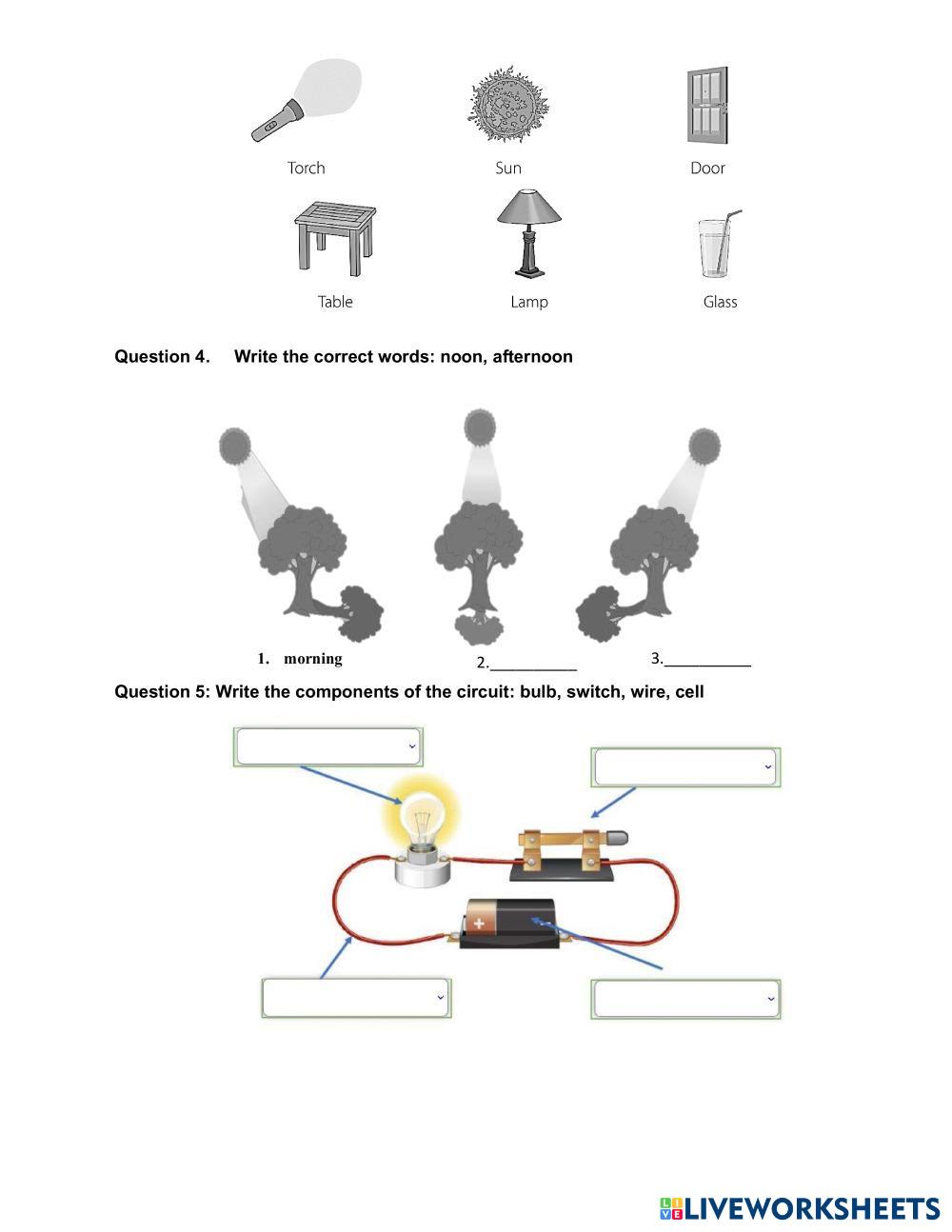 G2A- Science- Revision for term 2 | Live Worksheets