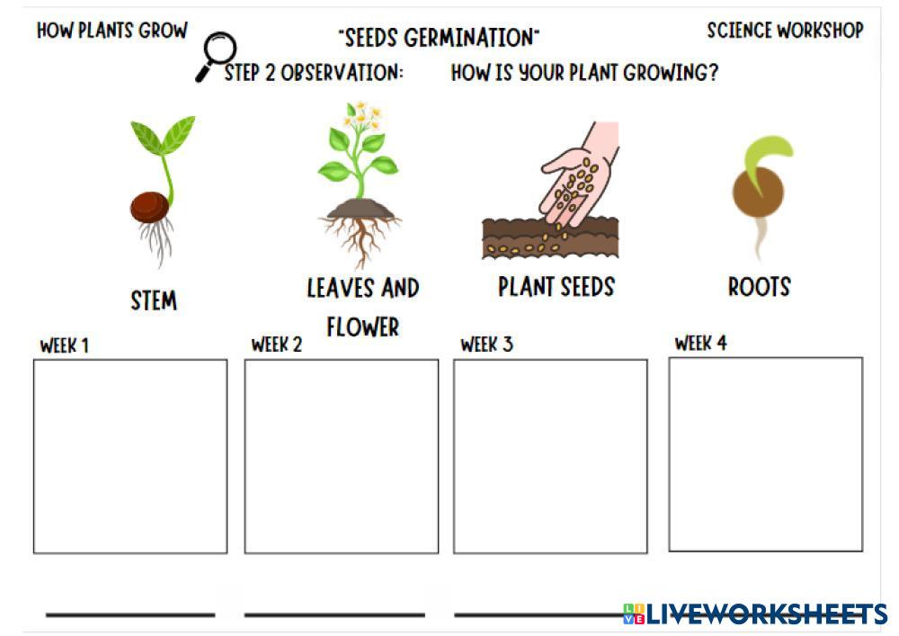 SCIENCE WORKSHOP | Live Worksheets