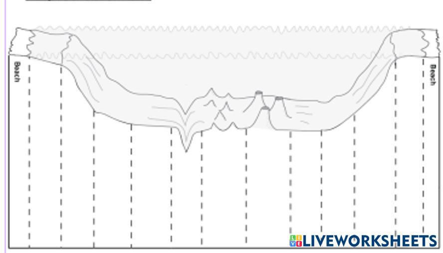 plenary | Live Worksheets