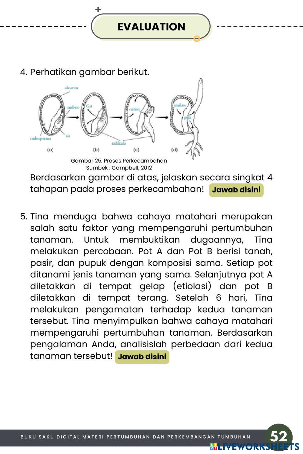 EVALUATION || S… | Free Interactive Worksheets | 7657695